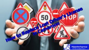 How to Replace a Lost Driver’s License in Cameroon - Hippotech Group